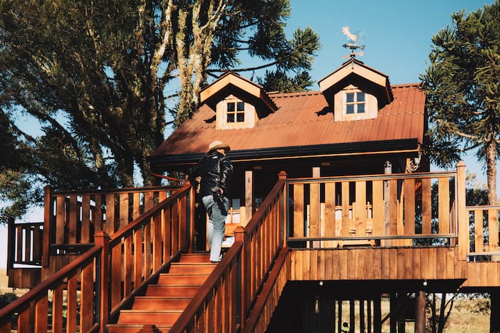 Cabana Casa Na áRvore - São Joaquim