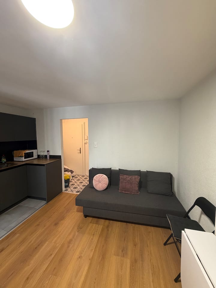 Studio Central Au Neuchatel - Neuchâtel
