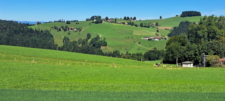 Ländliches Studio 1-2 Personen - Schweiz