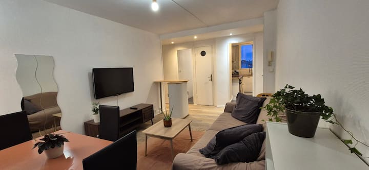 Appartement Proche Aéroport De Bordeaux-mérignac - Bordeaux