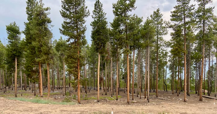 Leadville Get Away Hideaway 2017-74 - Leadville, CO