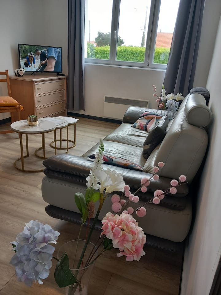 Baie Saint Jean : Apt Entier 200m Mer Chien Extra - Wimereux