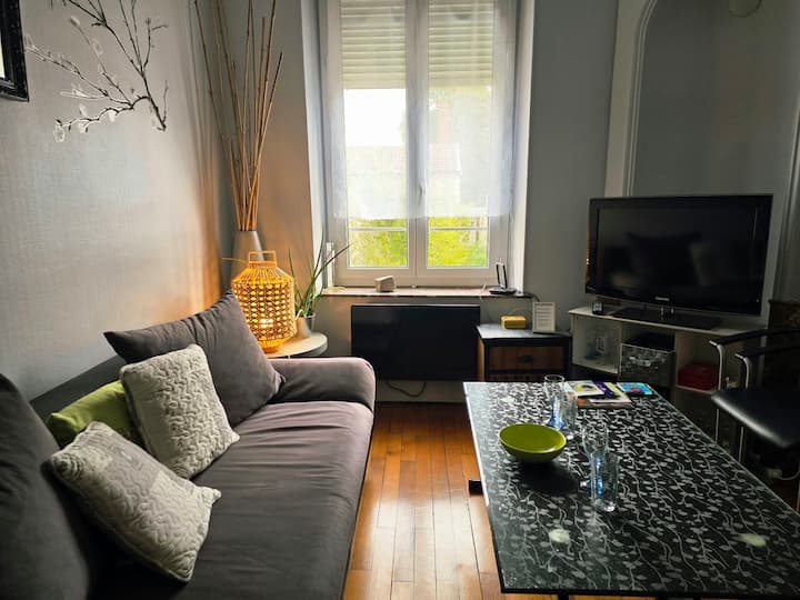 Appartement à 10 Mn à Pied De La Place Stanislas - Nancy