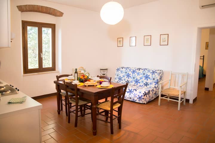 Light Blue Flat - Follonica