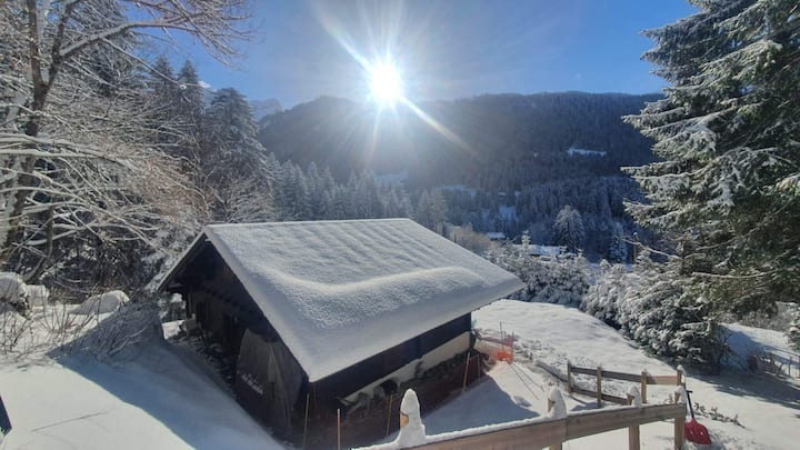 Clos-du-nant, Charmant Chalet à Louer (Gryon) - Gryon