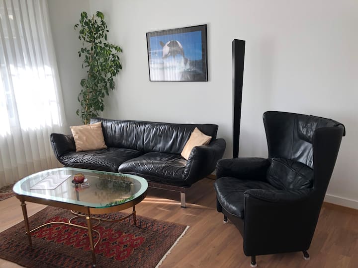 Lovely Appartment In The City Of Bern - Bern