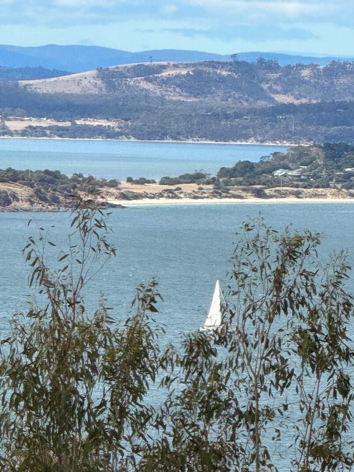 Stunning Cliff Top Manse Hobart - Kingston