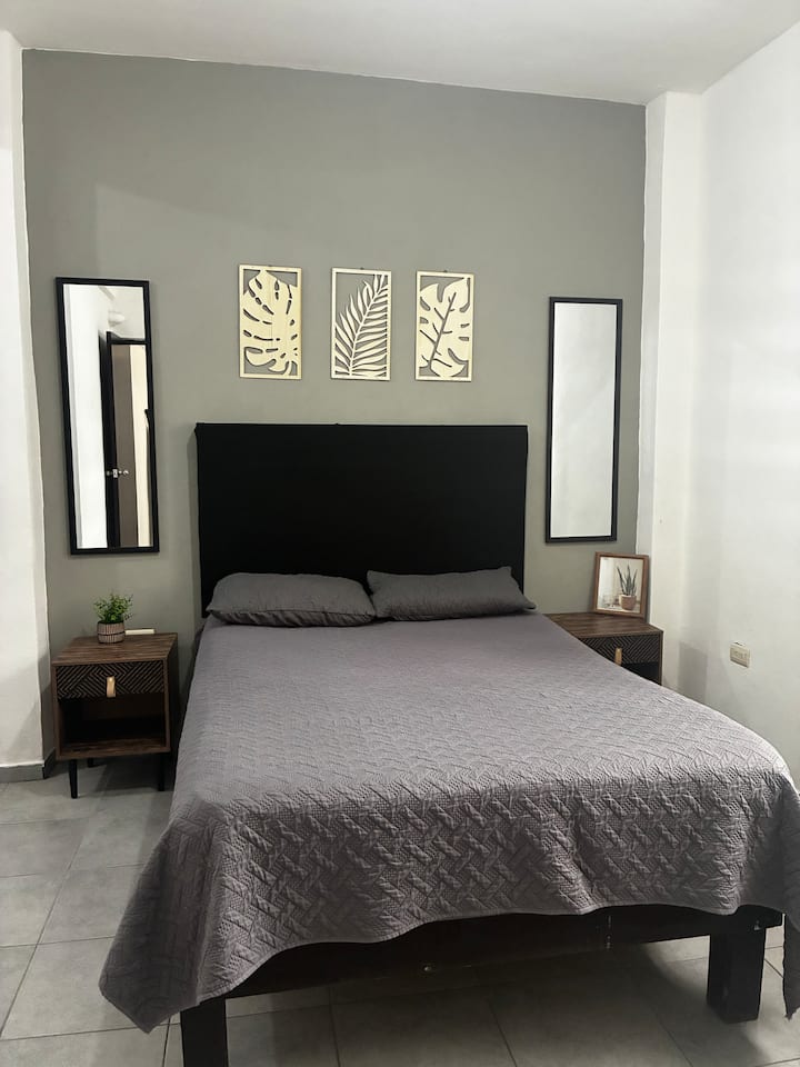 Depto. Renovado Amplio Y Confortable Imss Hgo Cine - Ciudad Obregón