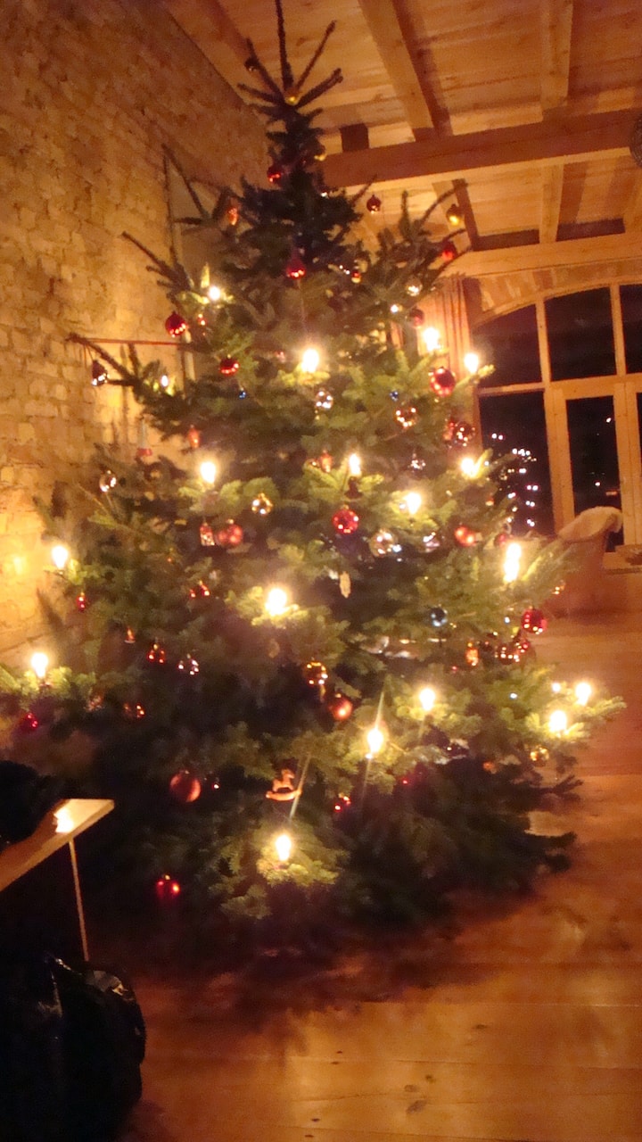 Landhaus Jakob Am Großen See - Allemagne