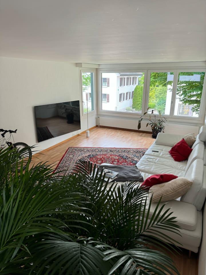 Saubere Mit Kurzen Wegen - Rapperswil-Jona