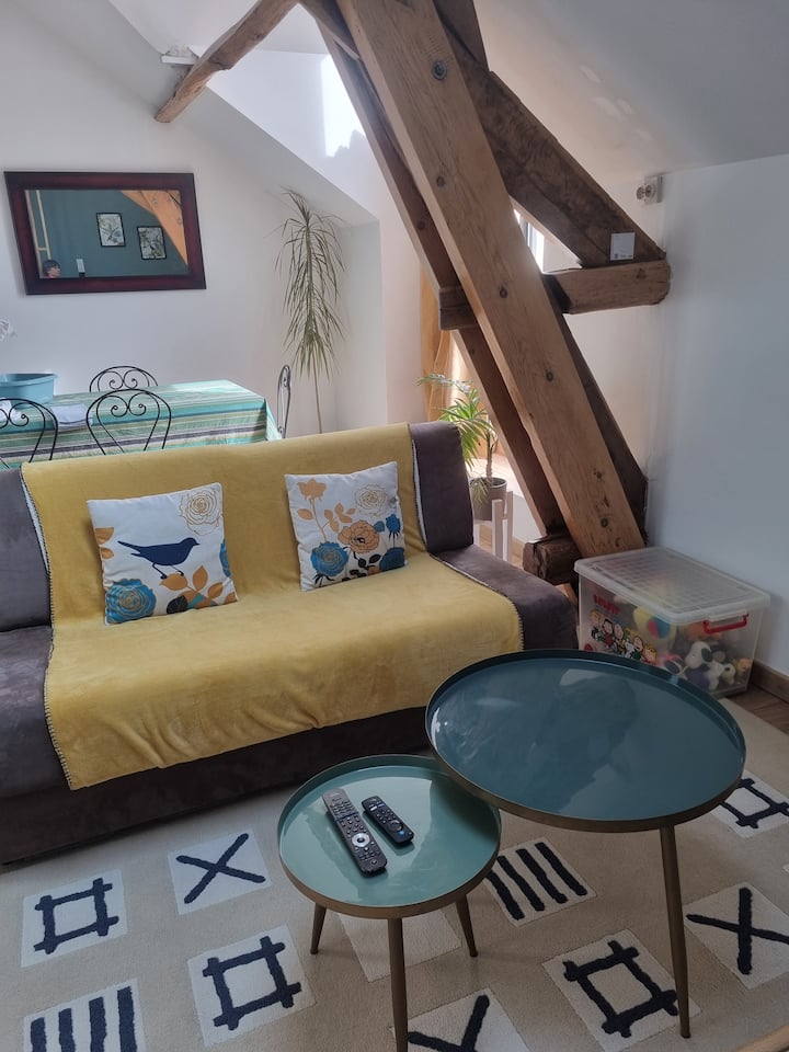 Disneyland, Cosy, Parking Sécurisé - Montévrain