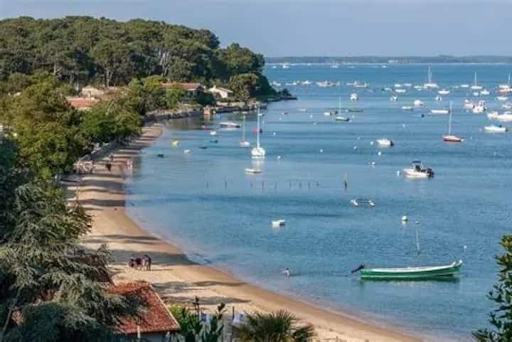 Maison Au Bord Du Bassin Accès Plage Direct - Cap Ferret