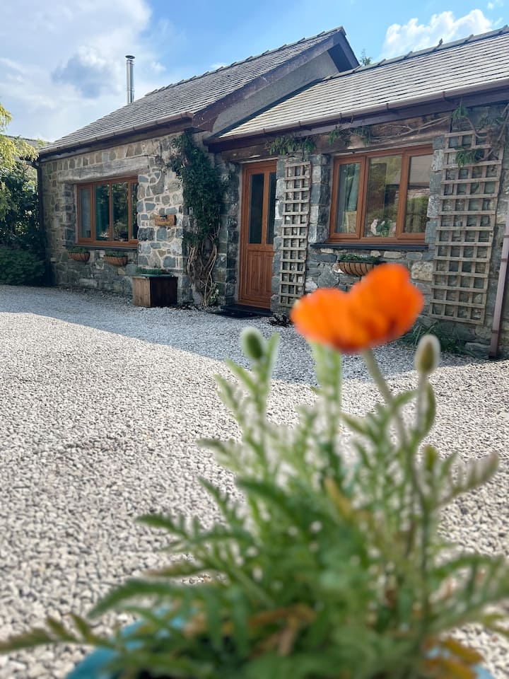 Cysgod Bach - Lux Garden Cottage For Two - Bala