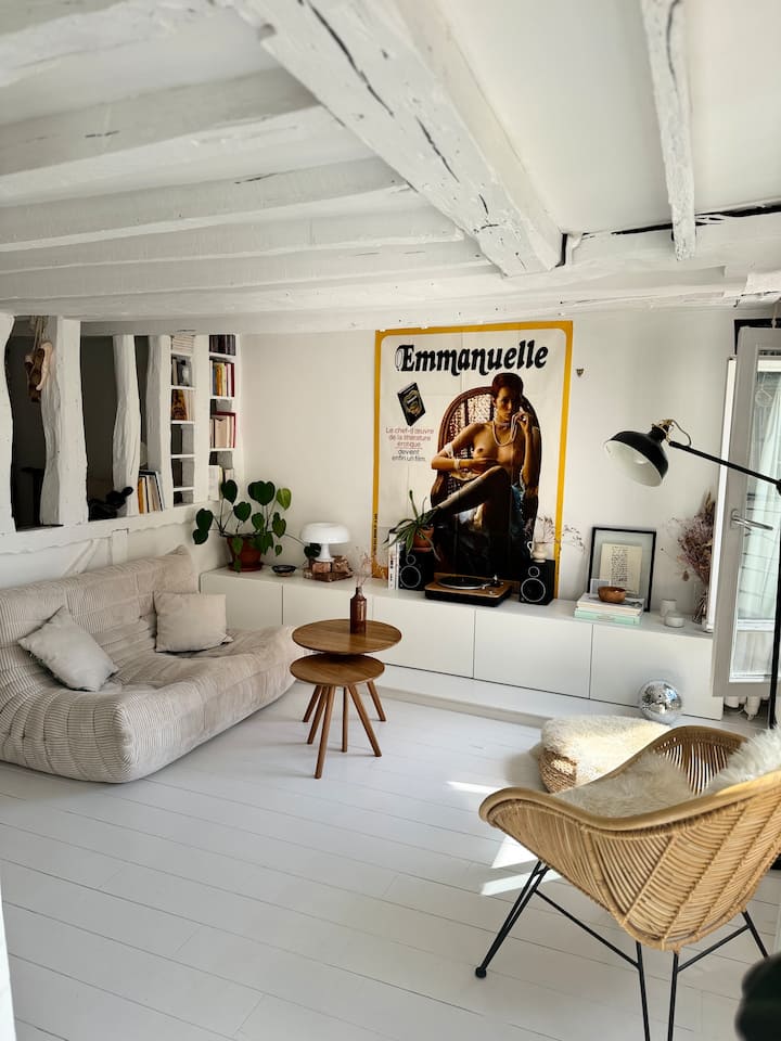 Petit Cocon Dans Le Haut-marais - Paris