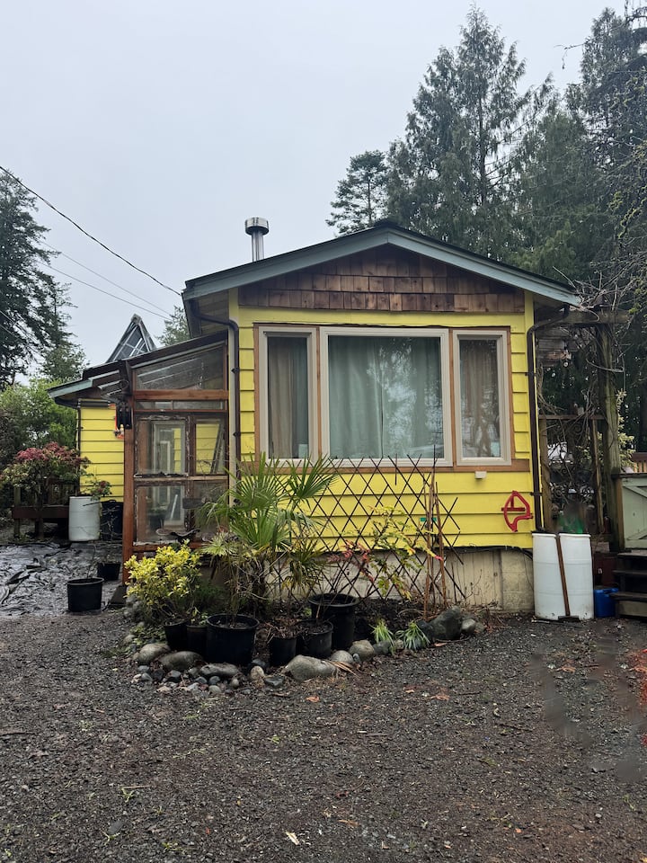 Shipwreck Cove - Duncan