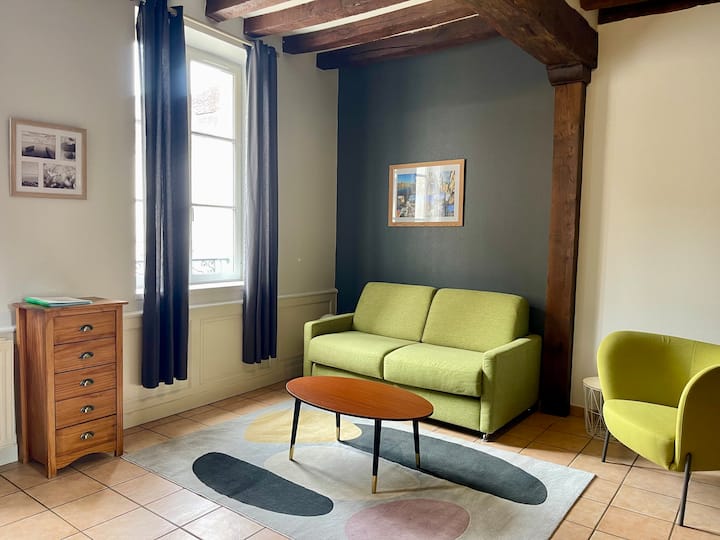 Appartement Spacieux & Plein De Charme - Auxerre