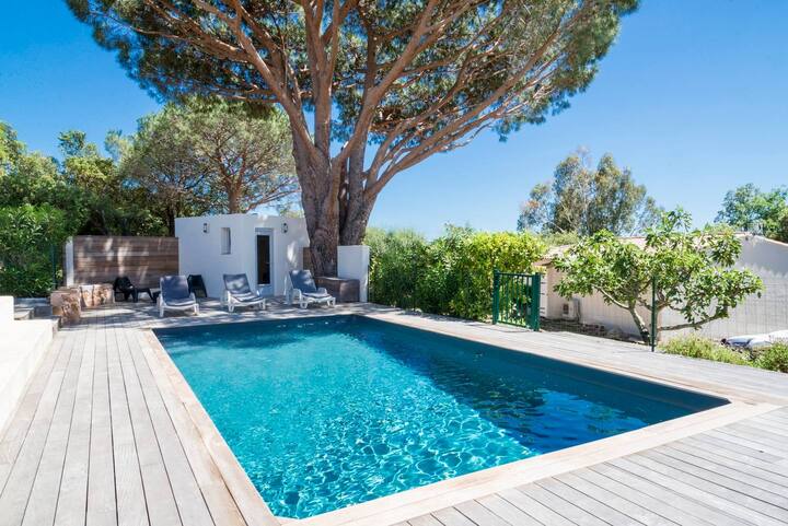 Studio Charmant U Pinu, 6 Kms De Porto Vecchio - Porto-Vecchio
