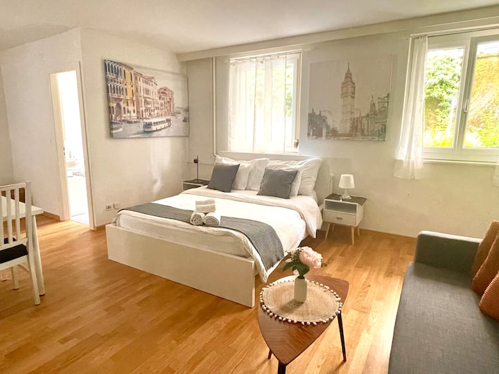 Joli Studio Centre Lausanne - Lausanne