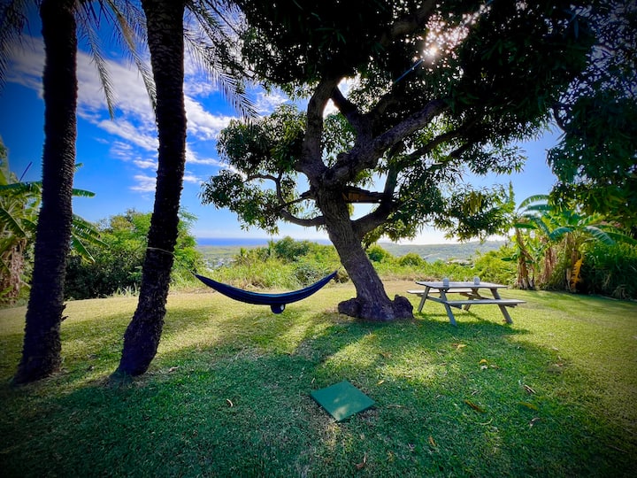 Bungalow : Le Manguier Bleu - La Réunion