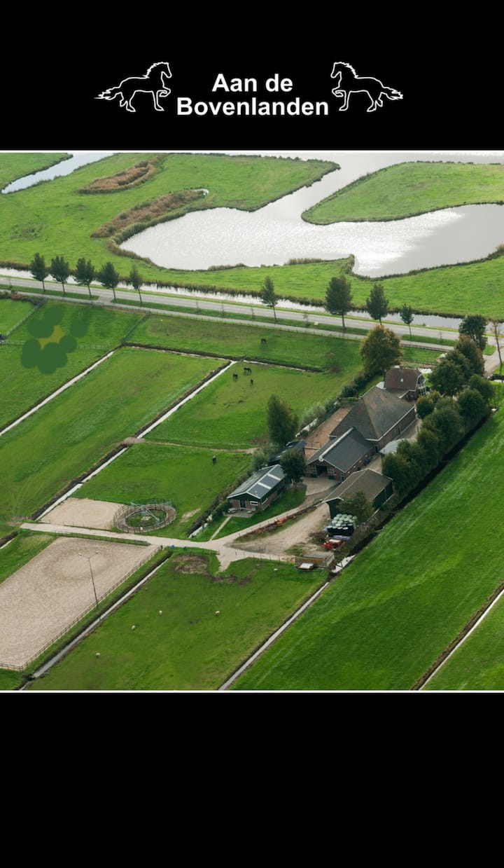 Overnachten Op De Boerderij Met Friese Paarden - Breukelen