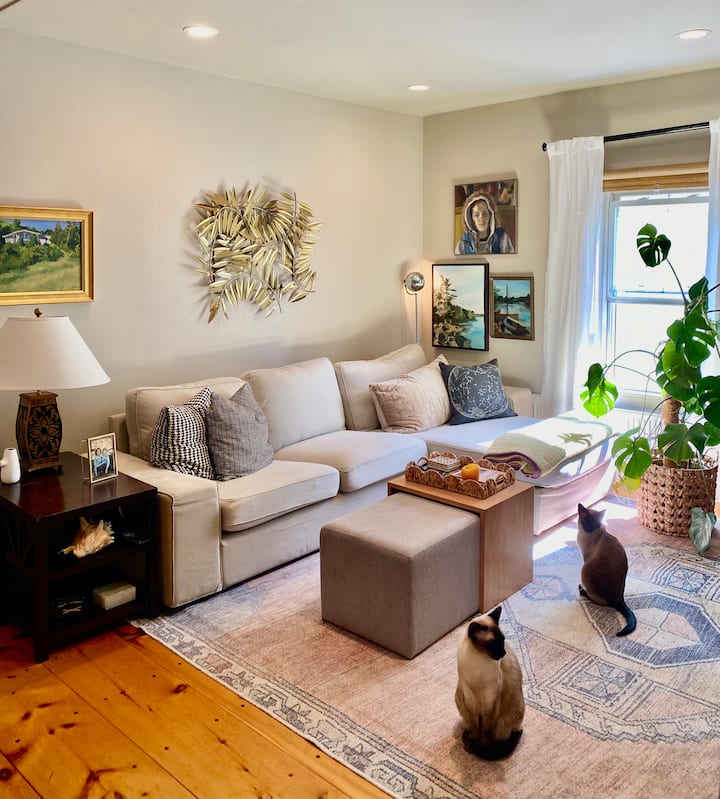 Charming Condo In The Heart Of Downtown Portsmouth - Portsmouth, NH