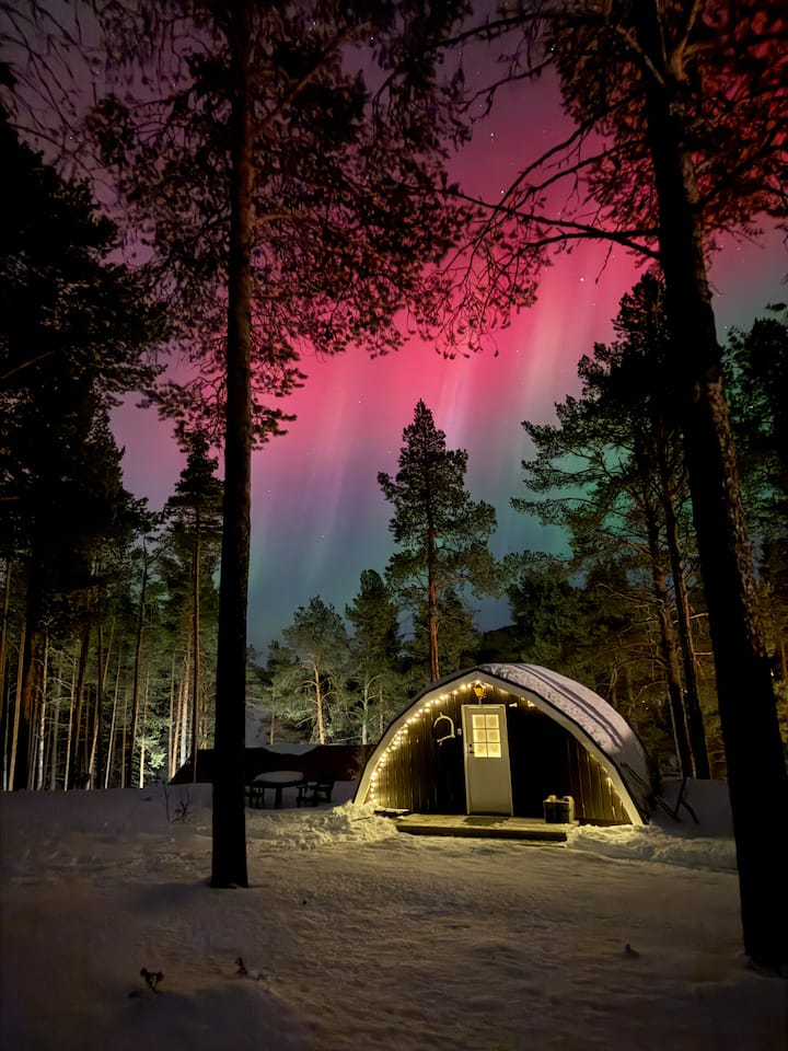 Cozy Cottage In The Woods - Lappland