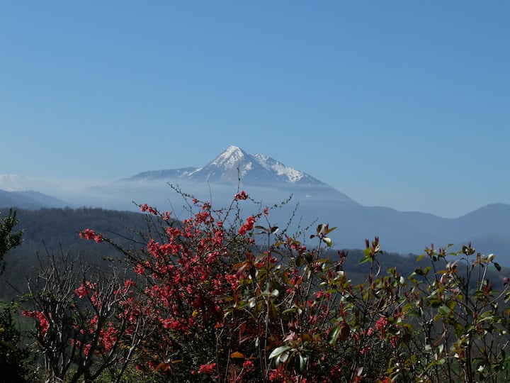 Panorama Sur Les Montagnes, Maison Au Calme - Salies-du-Salat