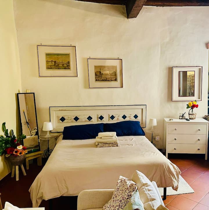 Niche Of Ancient Florence, Velluti Apartment - Florence