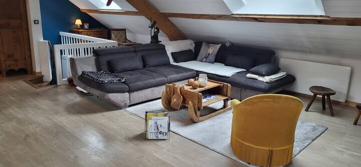 Loft Entre Lac Et Montagnes - Manigod