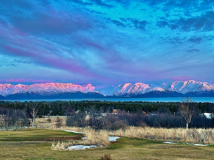 La Fin De La Route - Suite 1 - Homer, AK