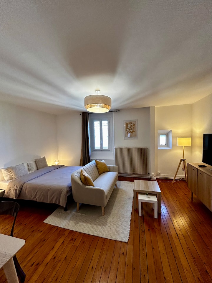 Appt Centre-ville - 78m2 - ibis budget Le Mans Universite