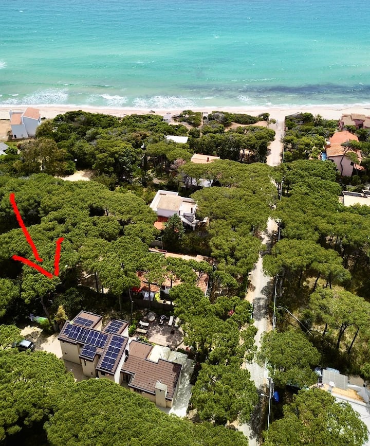 Total Comfort On The Beach Cin :It092050c2000p1652 - Sardinia