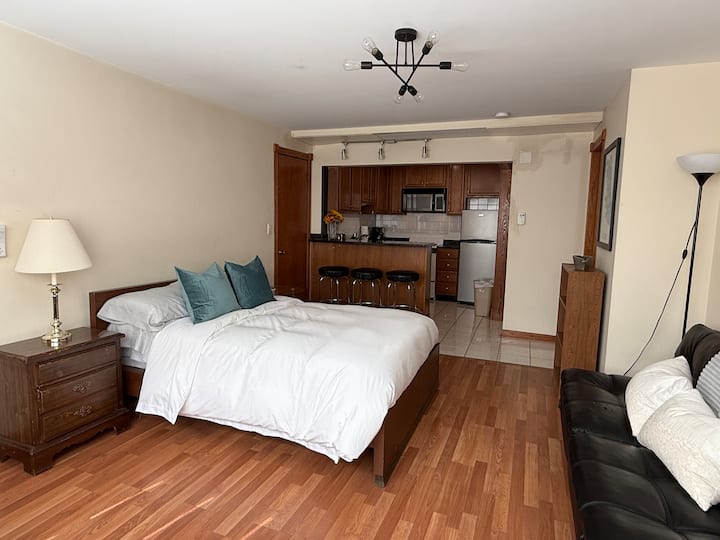 Entire Place - Free Parking, Train Station, O'hare - Niles, IL