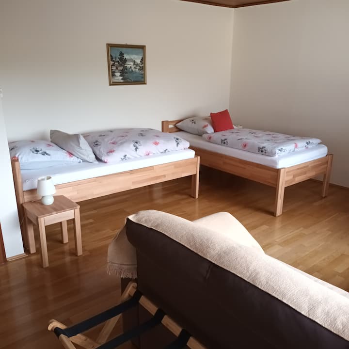 Büdingen-sonnige Wohnung-allergikergeeignet - Büdingen