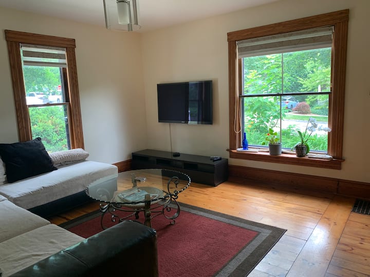 Historic Water Hill Gem | Walk To Downtown - Ann Arbor, MI