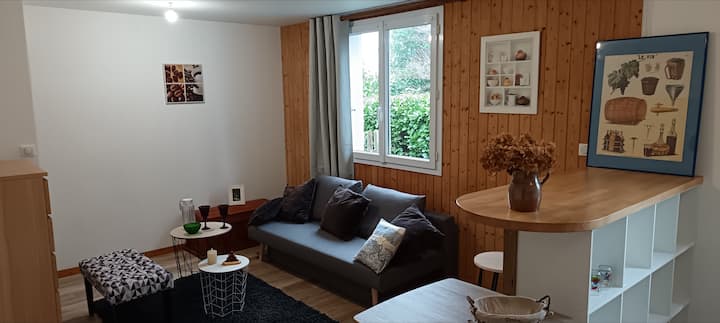 A 5min Du Puy Du Fou Studio 2/4pers. - Les Epesses