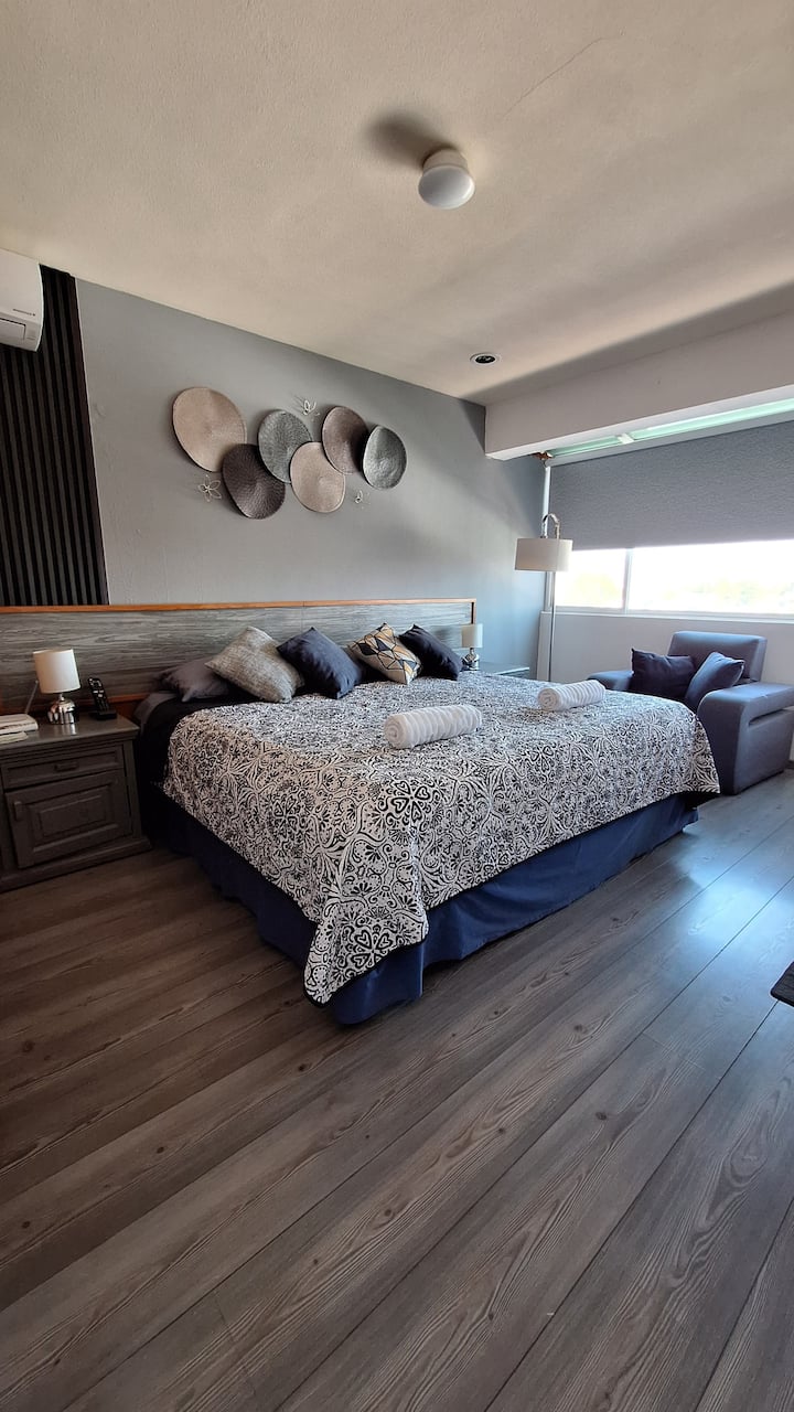 Climatized Penthouse W/roof Garden In Tequis Park - San Luis Potosí