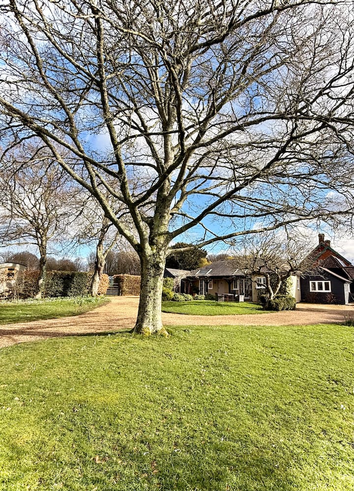 The Bothy Cosy Forest Escape-new Forest - Lyndhurst, UK