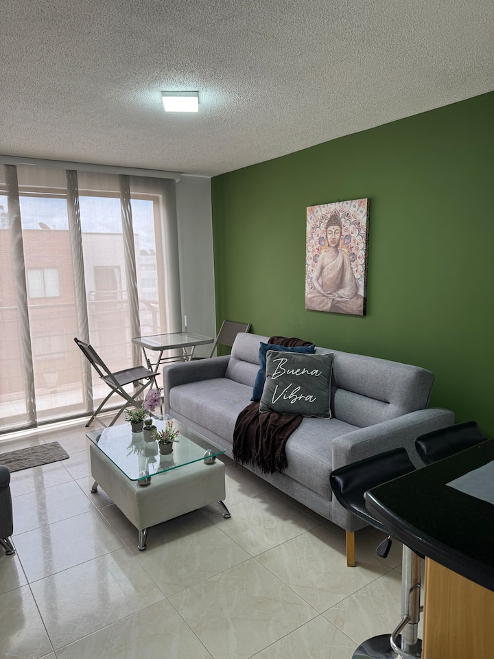 One Bedroom Apartment In The Heart Of The City . - Pereira