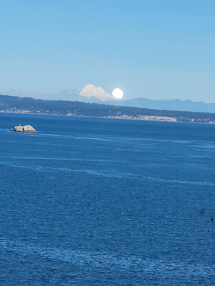 Amazing! Puget Sound Waterfront  Home  - Views! - Port Ludlow, WA