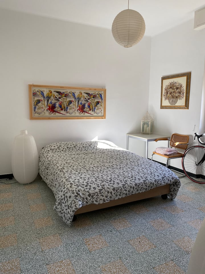 Appartamento Vico San Domenico, Alassio - Alassio