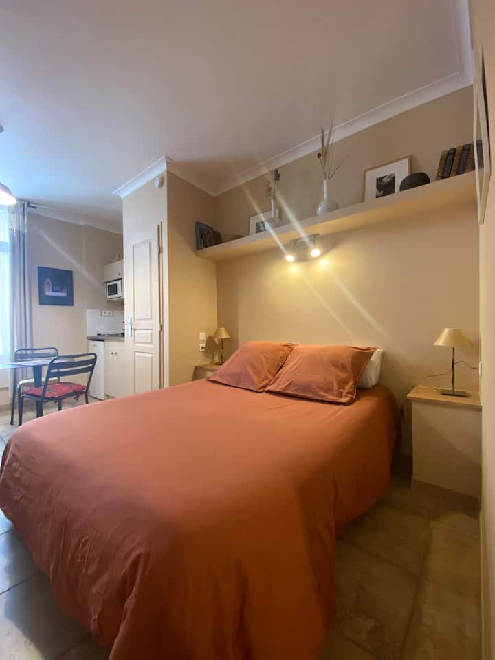 Arles, Studio Rive Droite Du Rhône. - Arlés