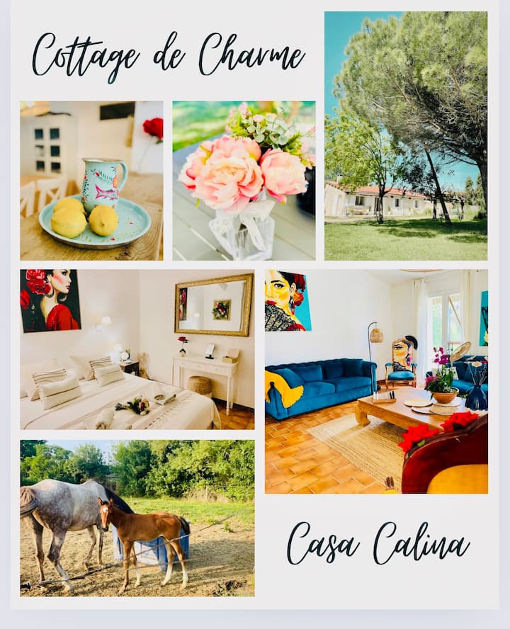 Cottage 2/4 Pers, Cheminée, Parc, Poney, Mer - Mauguio