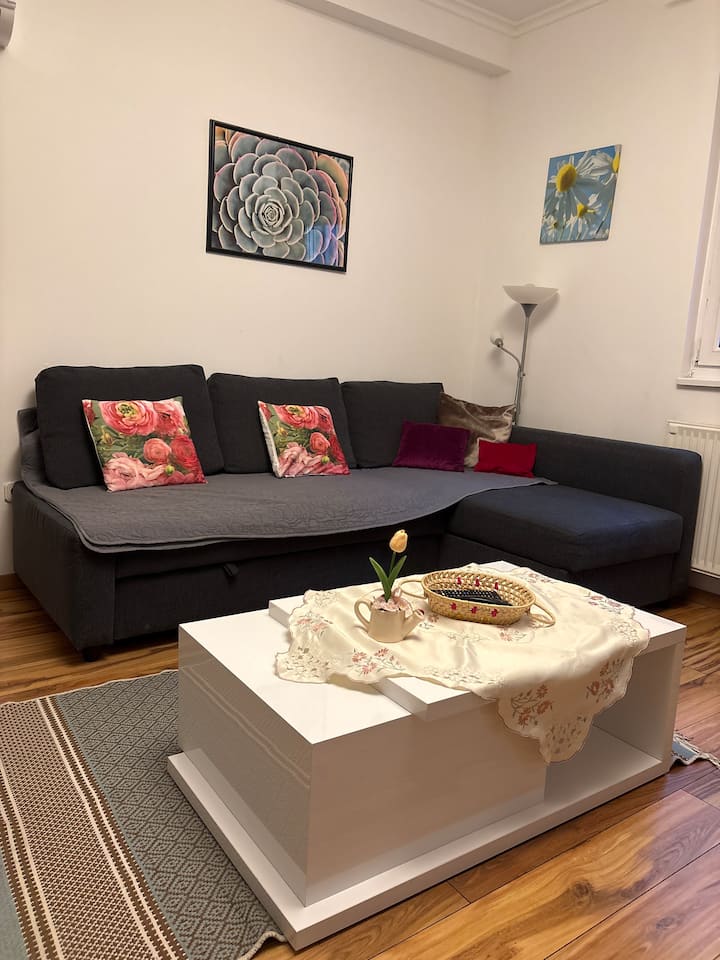 Modern Flat Near Olympic Sport Park And Rq Spa - Győr