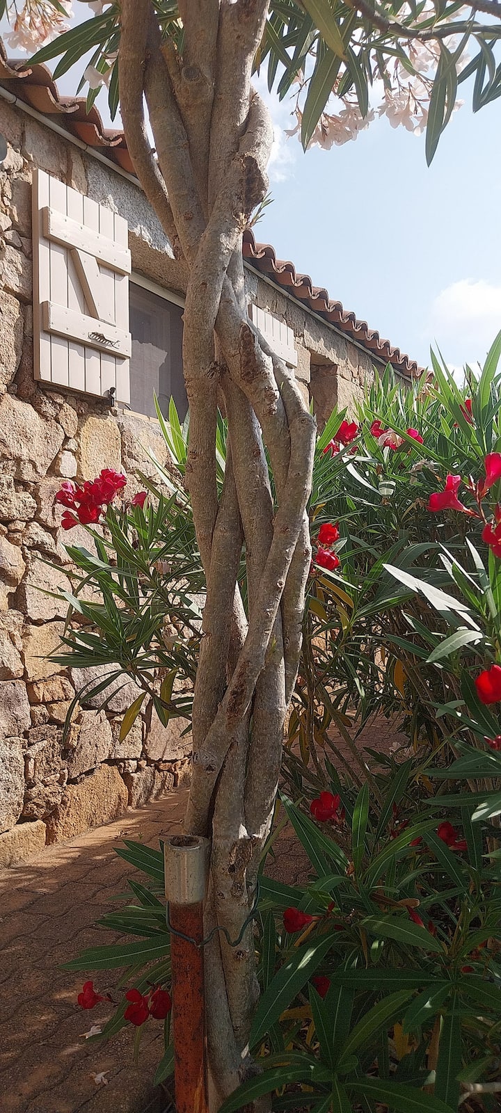 Maison Climatisé (Plages/montagnes) - Lecci