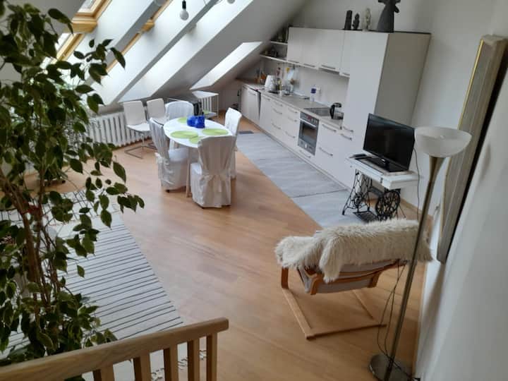 Spacious 2 Room Loft Aquarelle In Oldtown - Kaunas