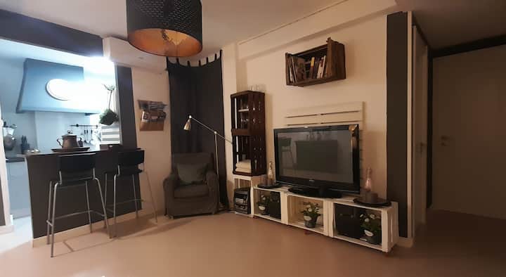 Apto.puente Piedra.parking.wifi. 3 Min. Del Pilar. - Zaragoza