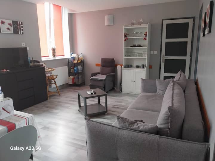 Appartement Tout Confort Dans Les Hautes Vosges - Saulxures-sur-Moselotte