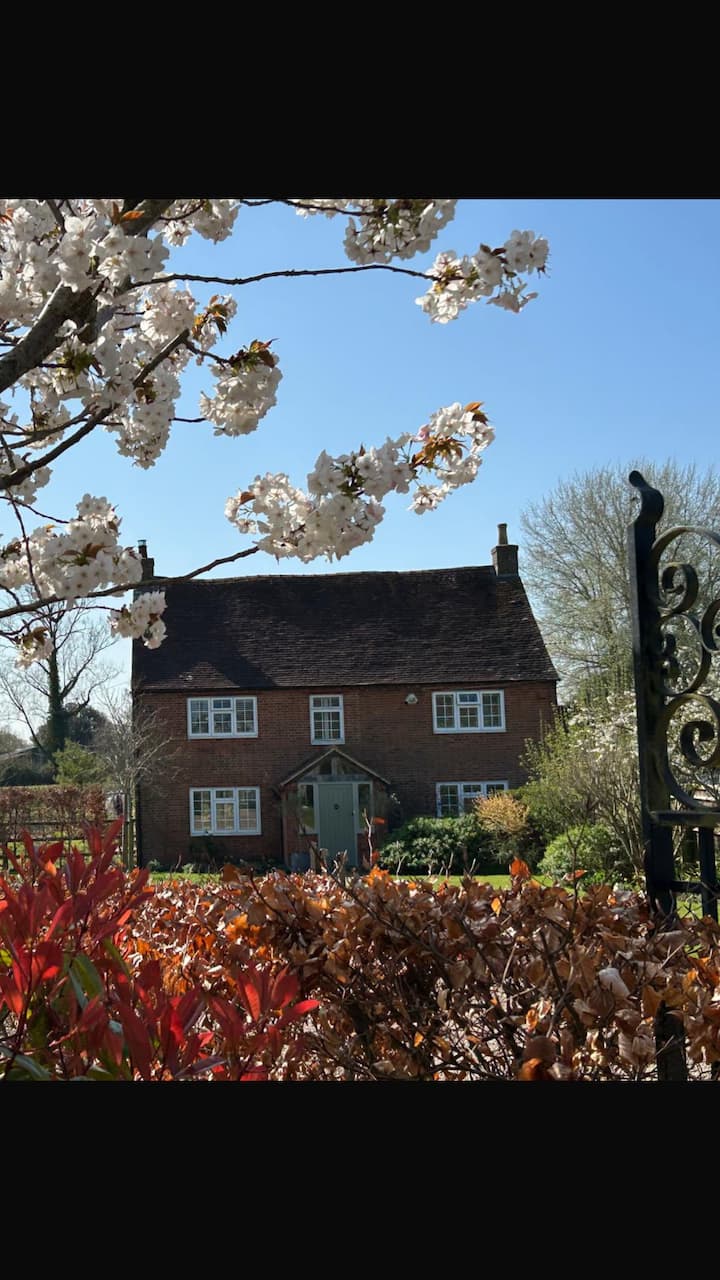 Lowood House, Fishbourne - Chichester