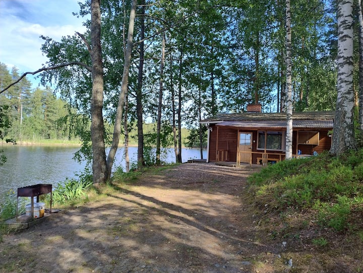 Коттедж с камином - Savonlinna